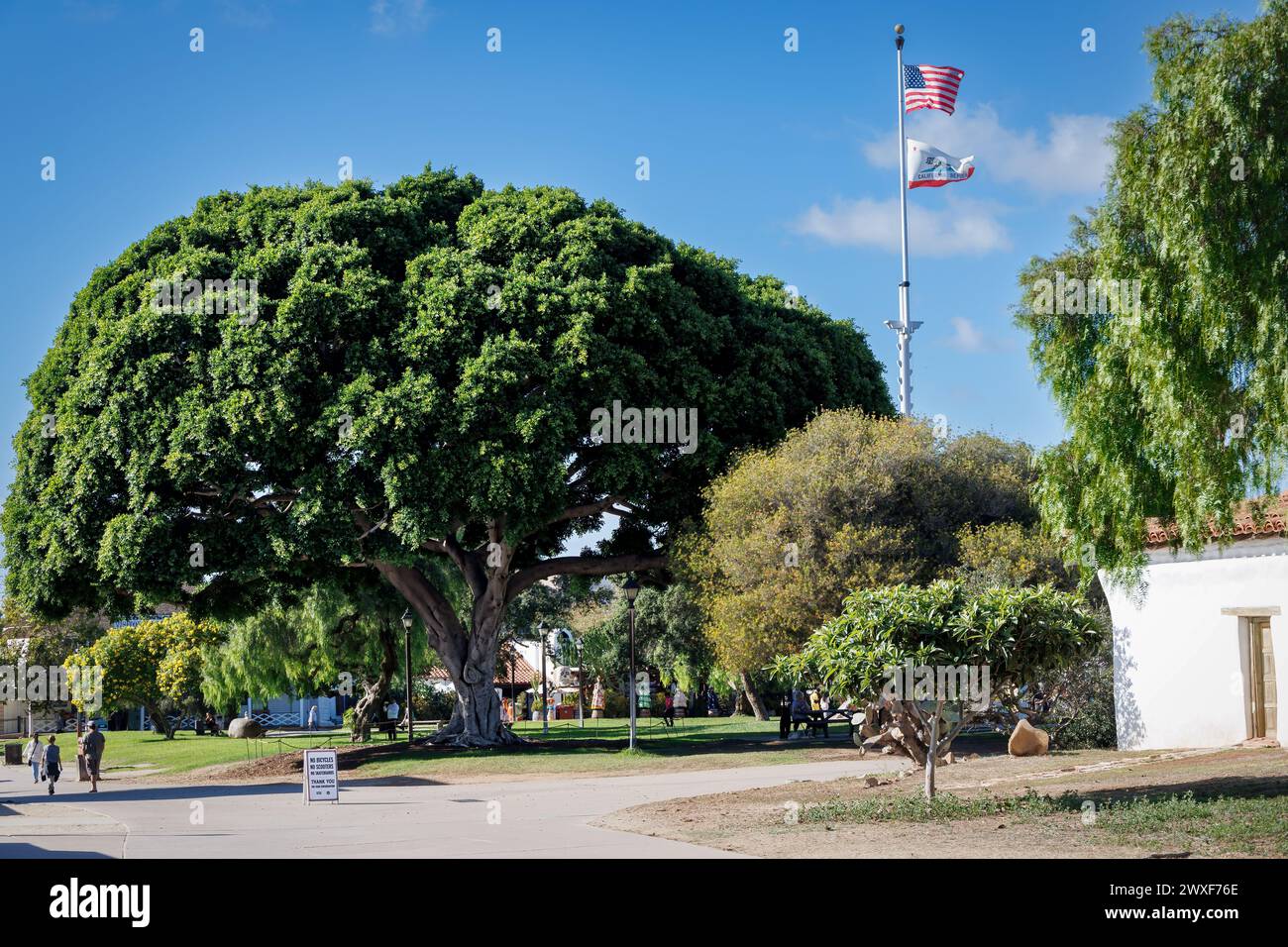 Cali flag hi-res stock photography and images - Alamy