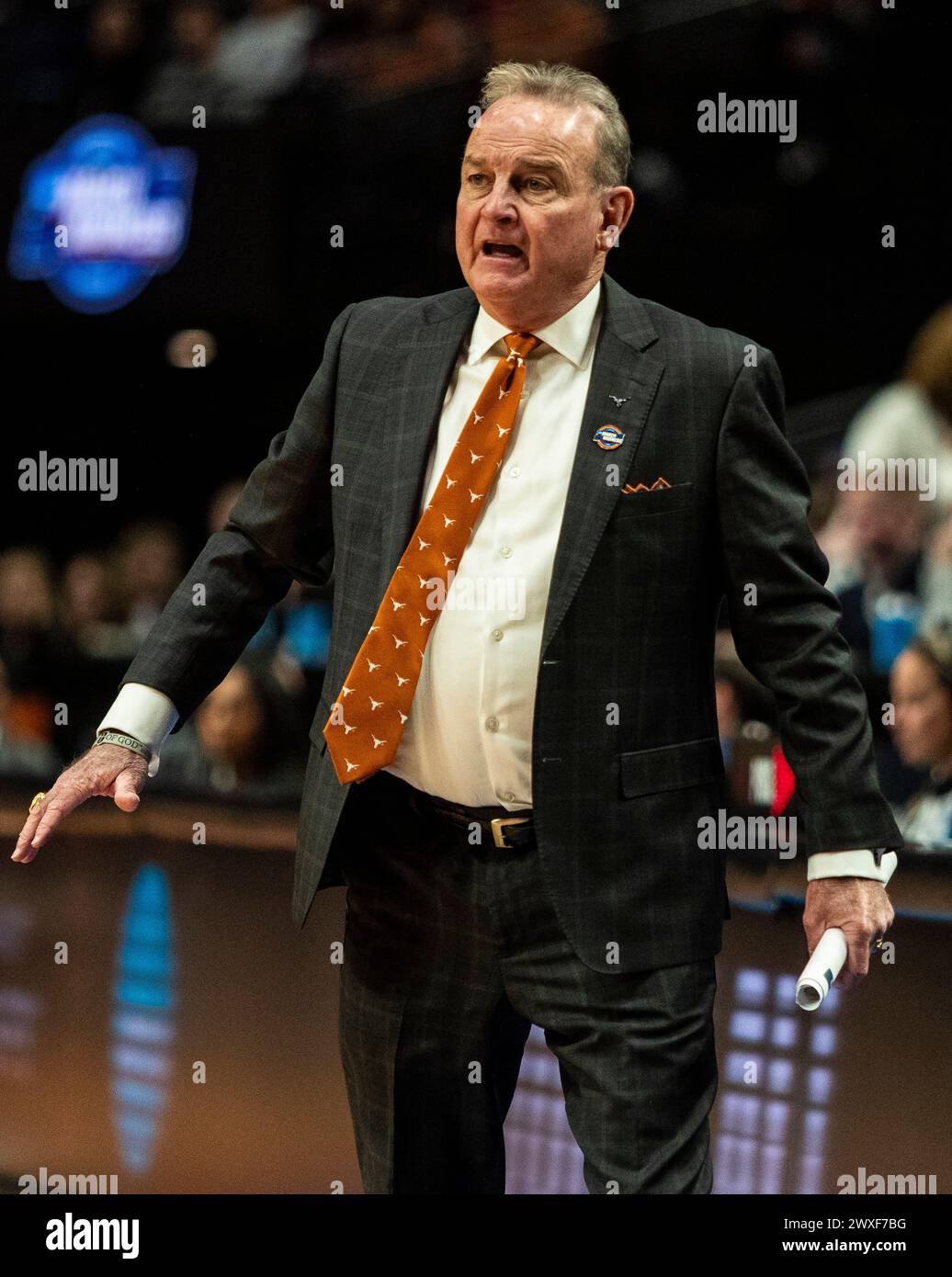 2024 0052 jpg hi-res stock photography and images - Alamy