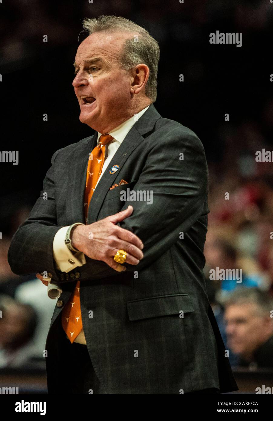 Schaefer looks hi-res stock photography and images - Alamy