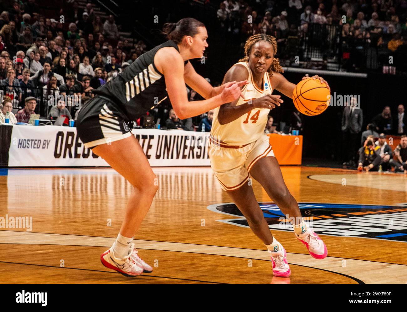 Amina said hi-res stock photography and images - Alamy