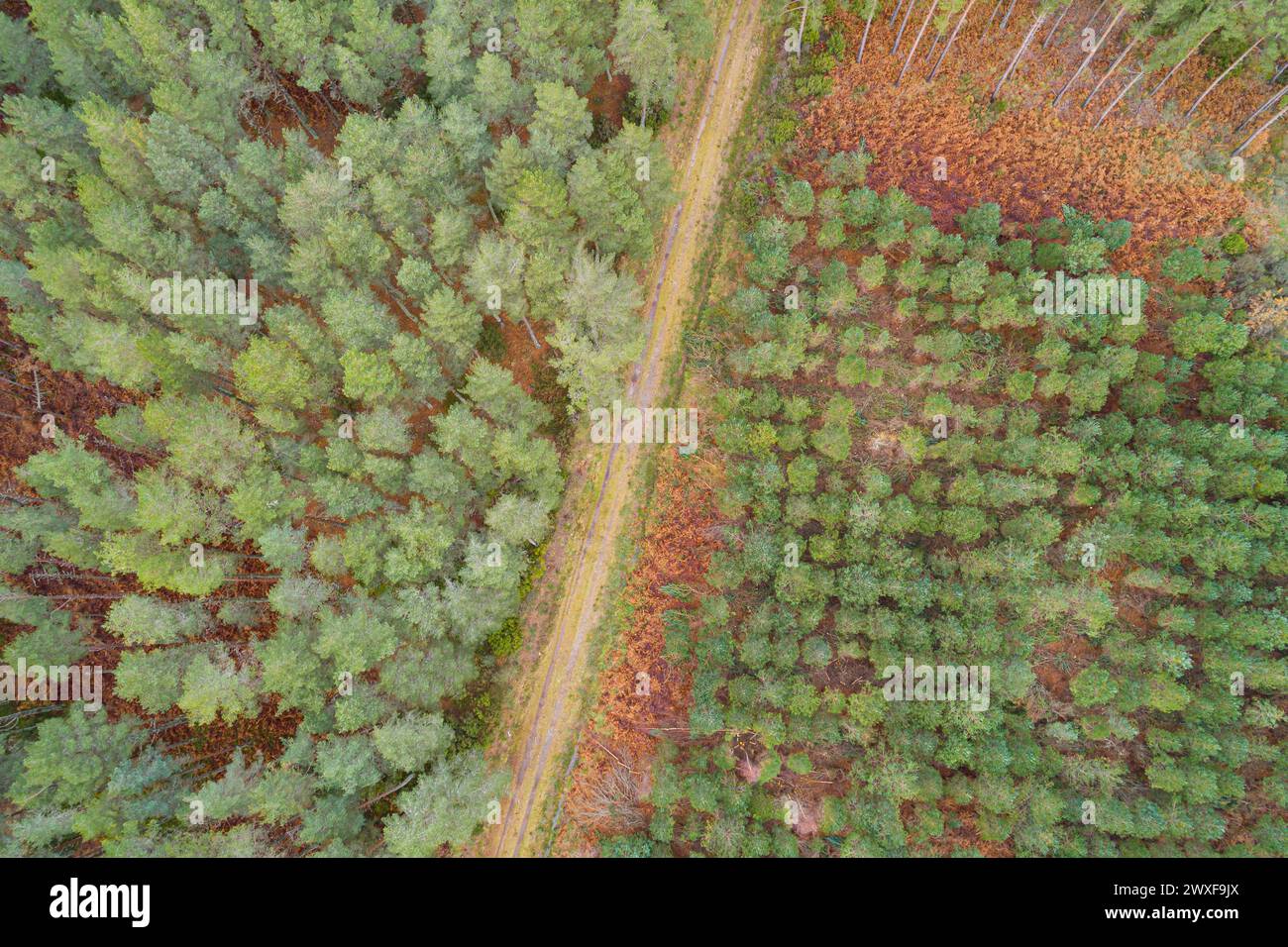 Dirt track texture hi-res stock photography and images - Alamy