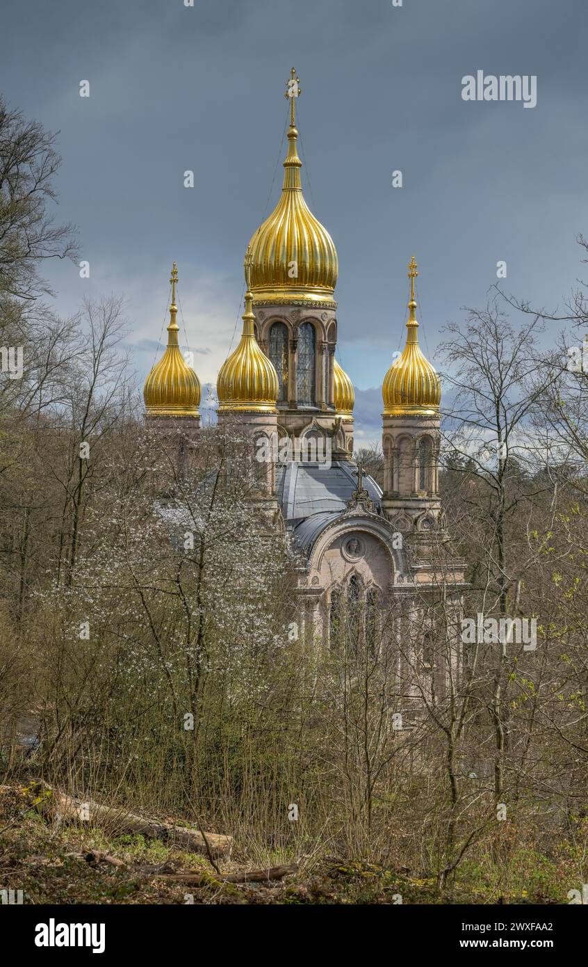 Russisch-orthodoxe Kirche, Neroberg, Wiesbaden, Hessen, Deutschland Stock Photo - Alamy