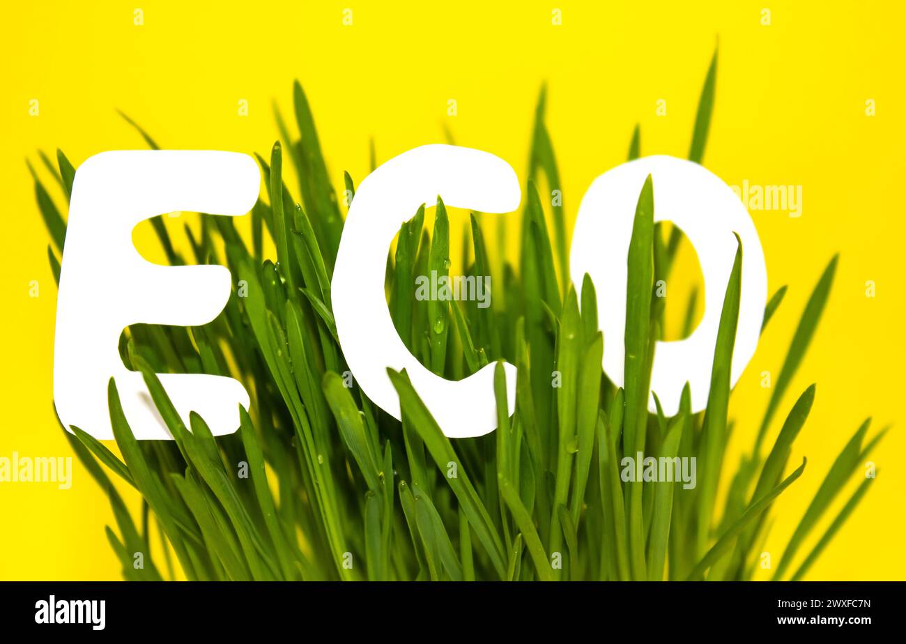 Ecology Concept. Green Grass with the Word ECO cut out Paper Stock ...