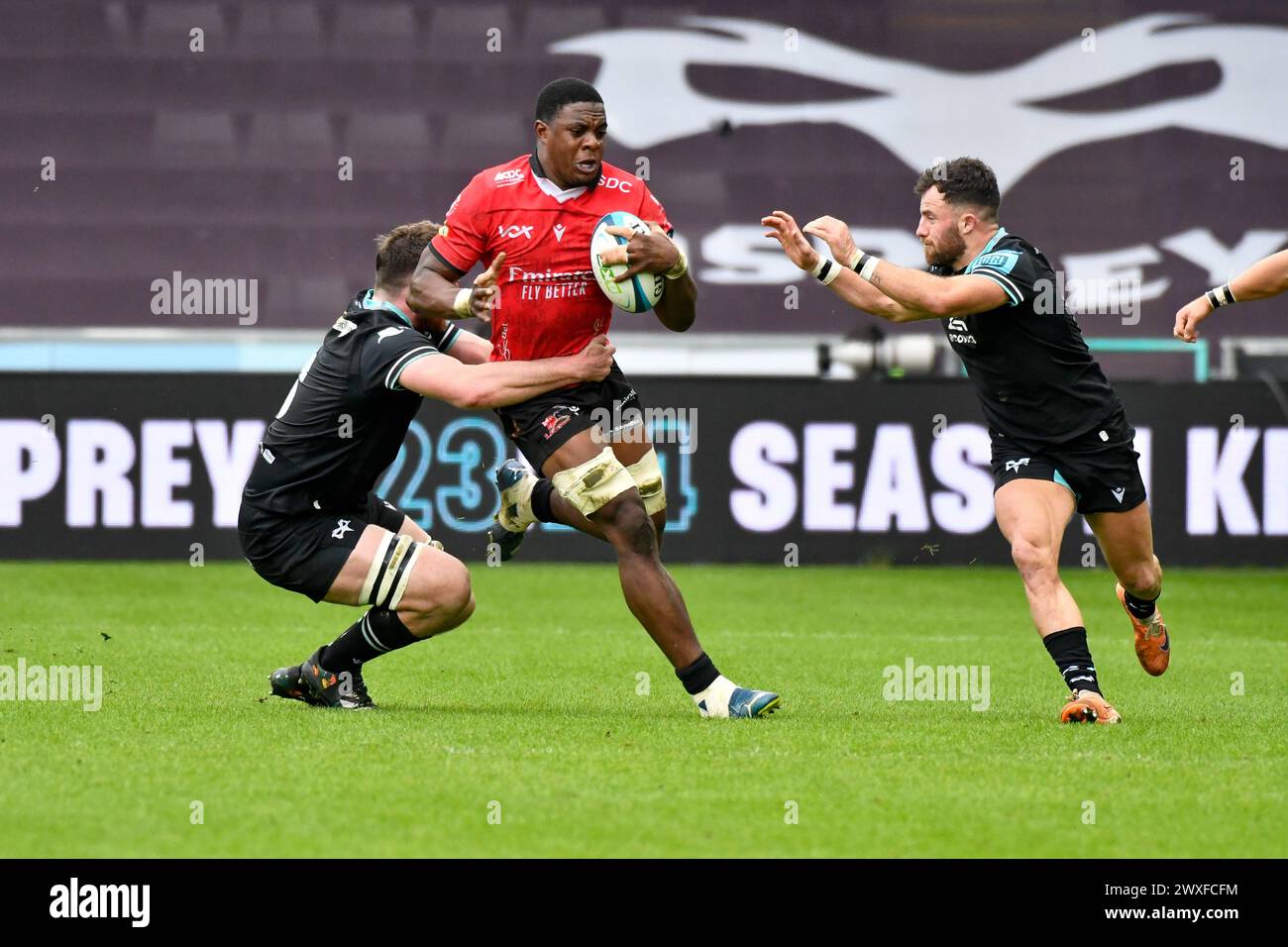 Emmanuel tshituka lions hi-res stock photography and images - Alamy
