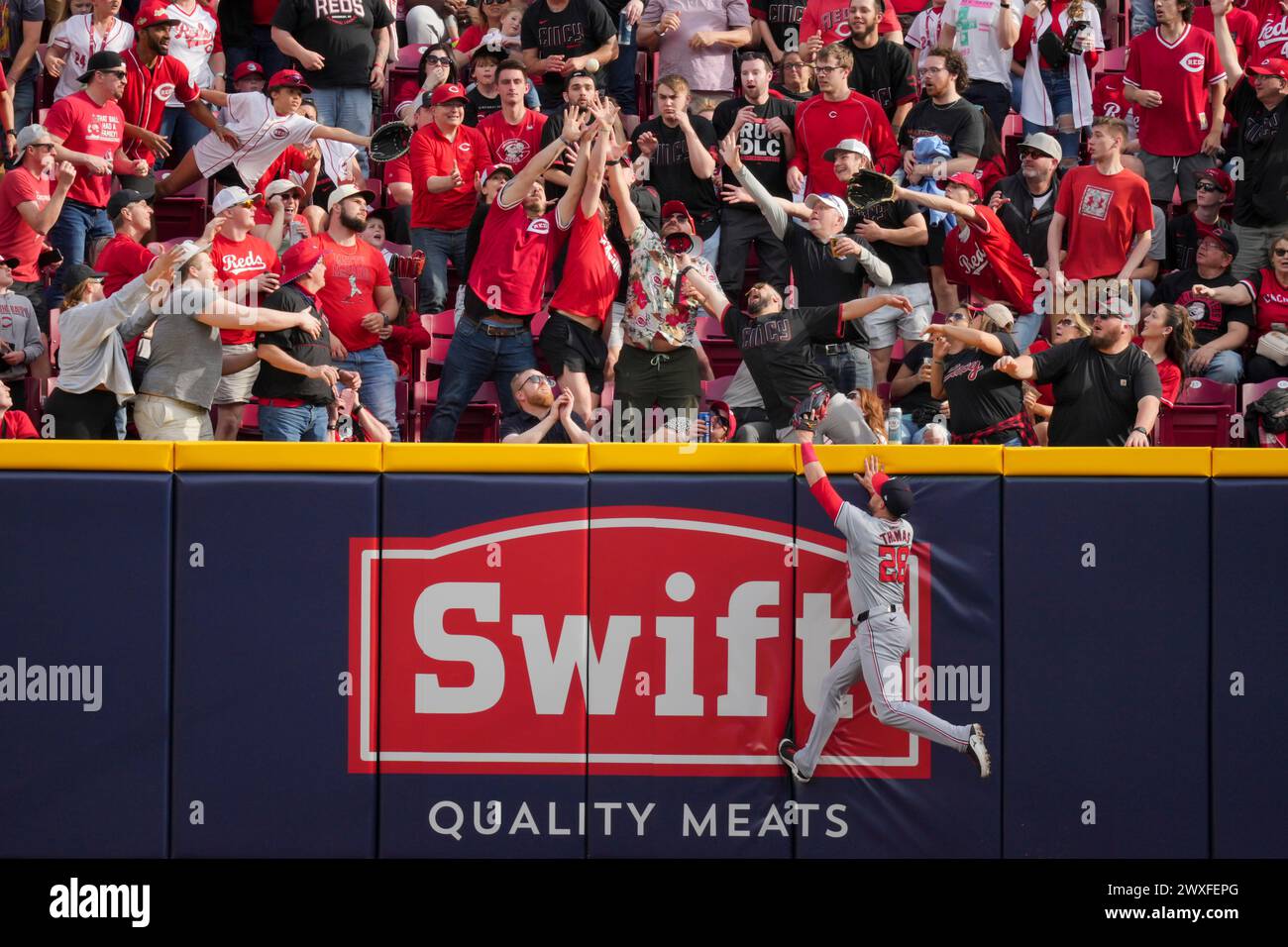 Washington Nationals' Lane Thomas scales the wall as fans catch a two ...