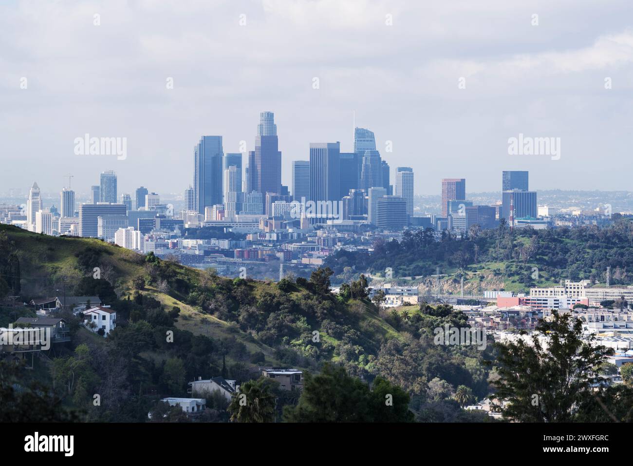 Downtown Los Angeles skyline with hillside homes foreground Stock Photo ...