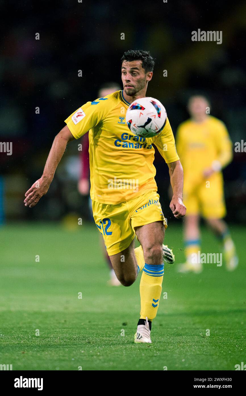 Loiodice de ud las palmas hi-res stock photography and images - Alamy