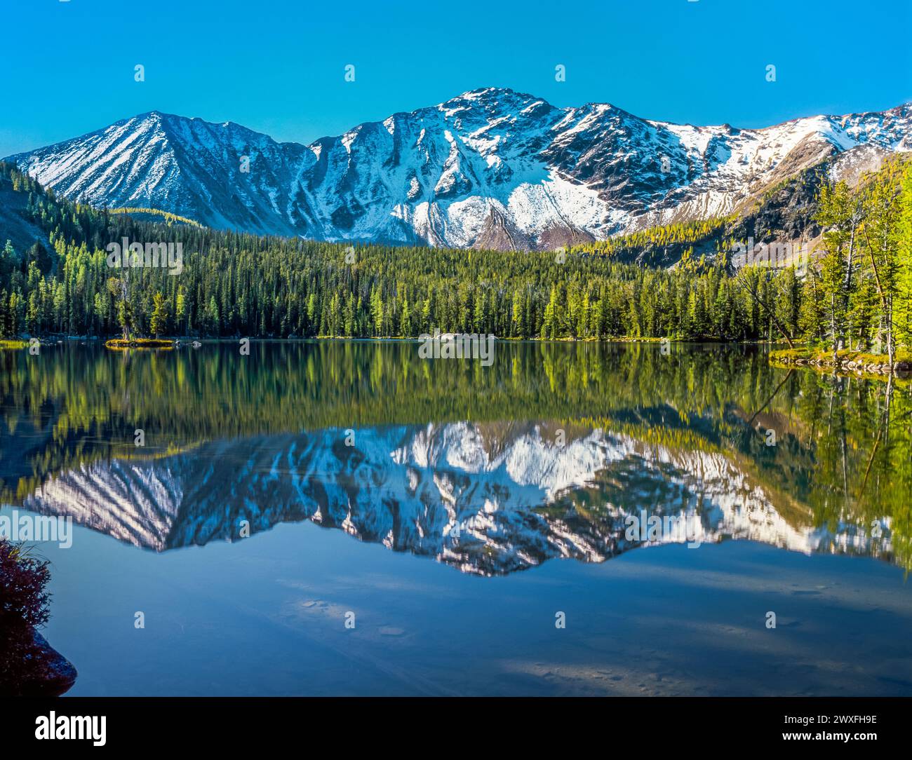 Mt 8723 hi-res stock photography and images - Alamy