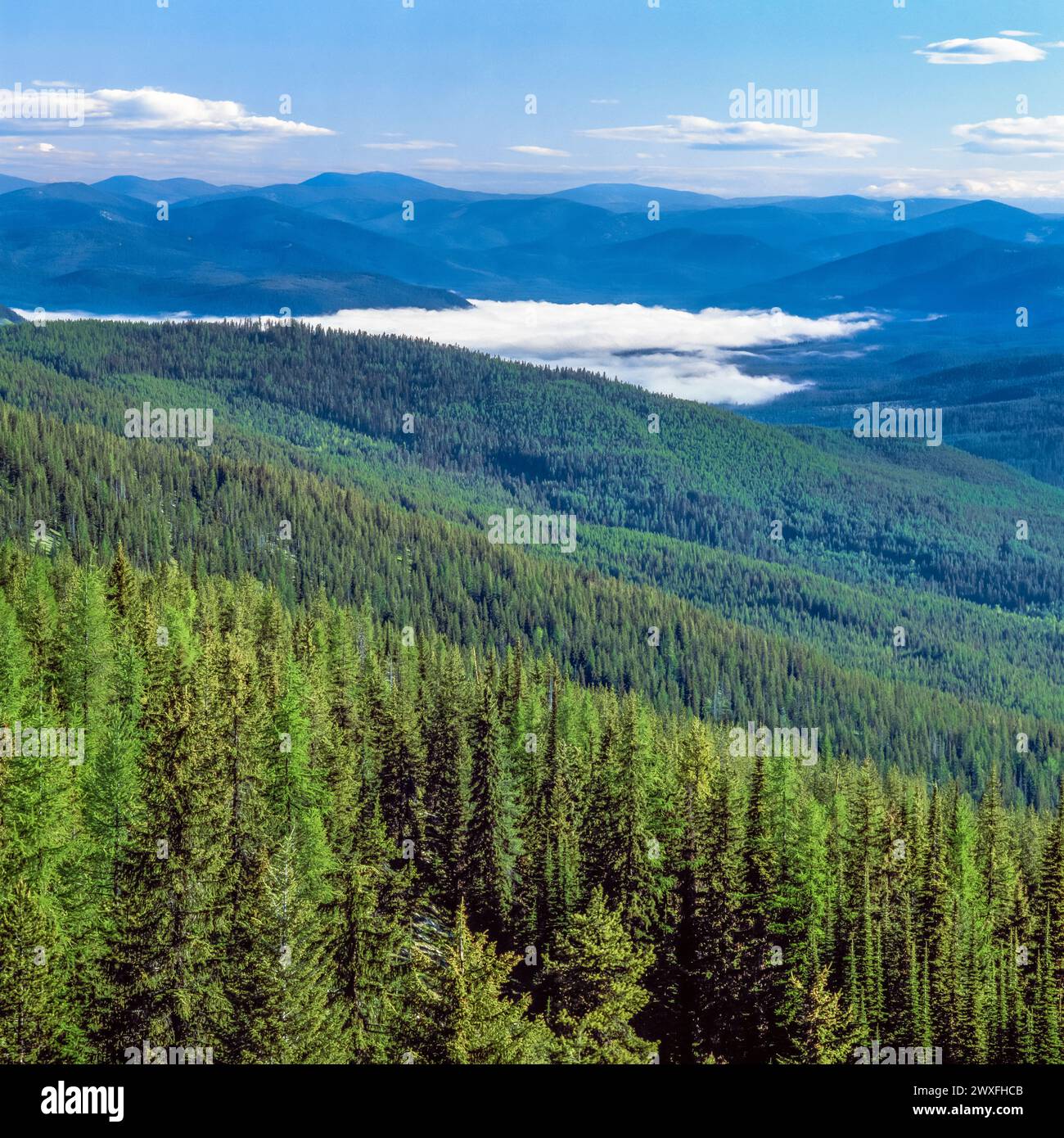 percell mountains above morning fog in the south fork yaak river valley ...