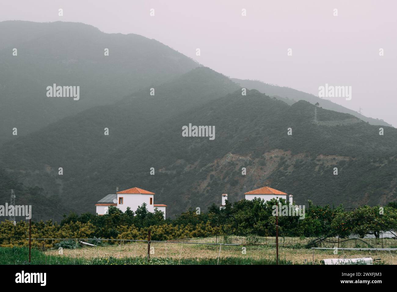 Rustic homes nestled in the lush greenery of the Spanish countryside ...