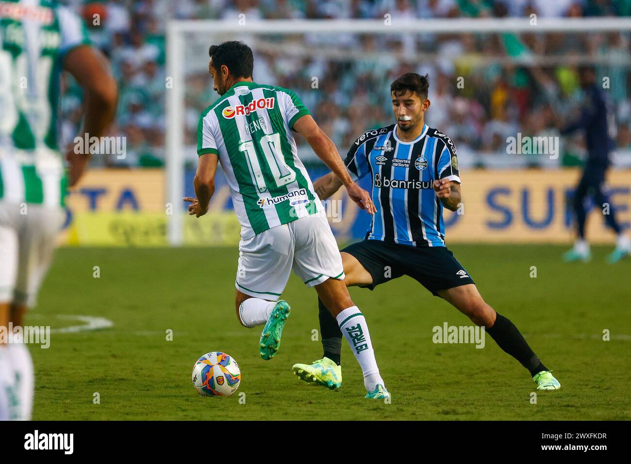 Nene juventude 2024 hi-res stock photography and images - Alamy