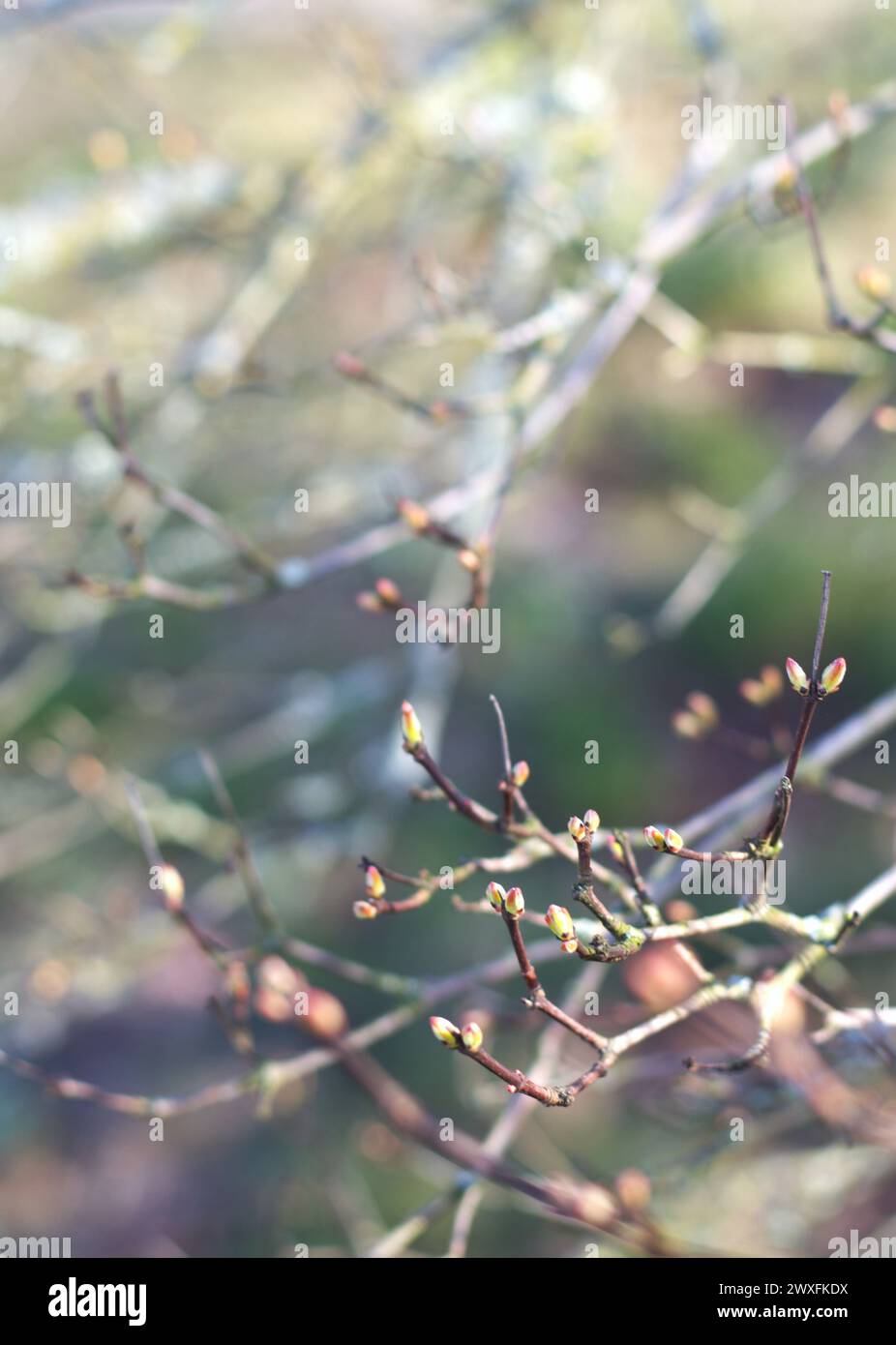 Focus transitions hi-res stock photography and images - Alamy