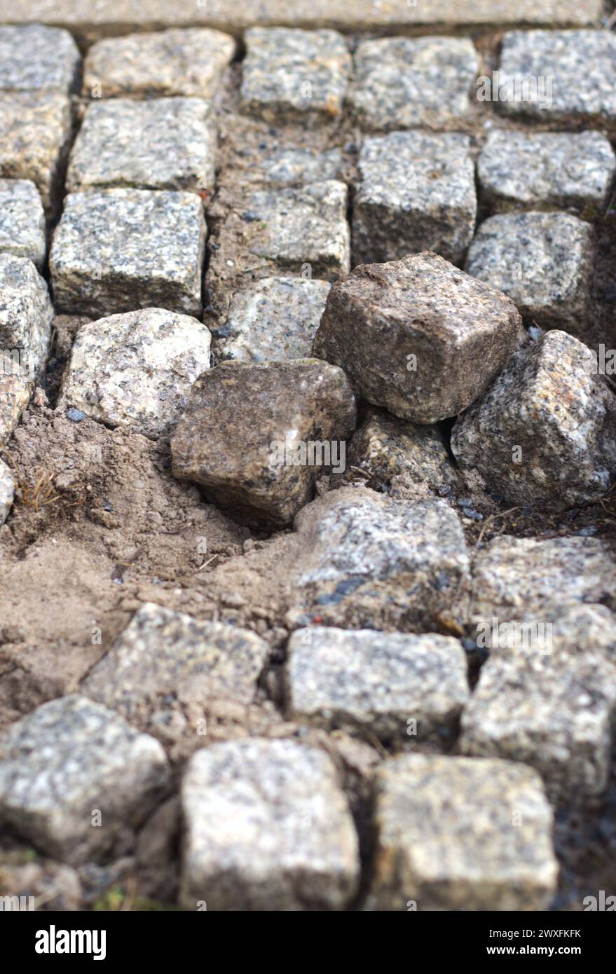 close-up view of cobblestone pavement. The stones are unevenly arranged ...