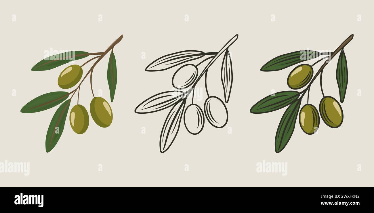 Flat Vector Olive Branch with Green Olives Set. Cartoon Hand Drawn ...