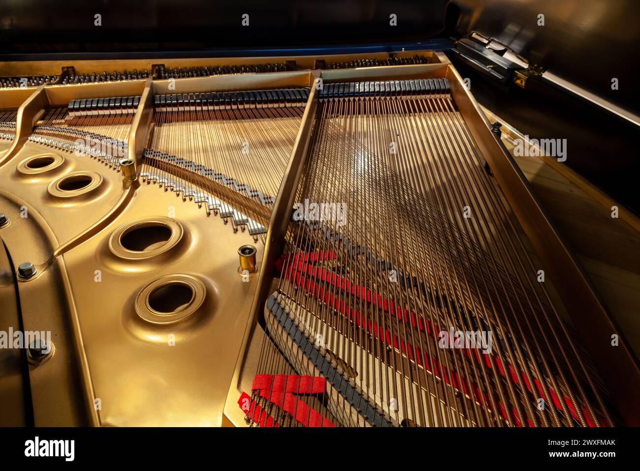 String instrument coloring hi-res stock photography and images - Alamy