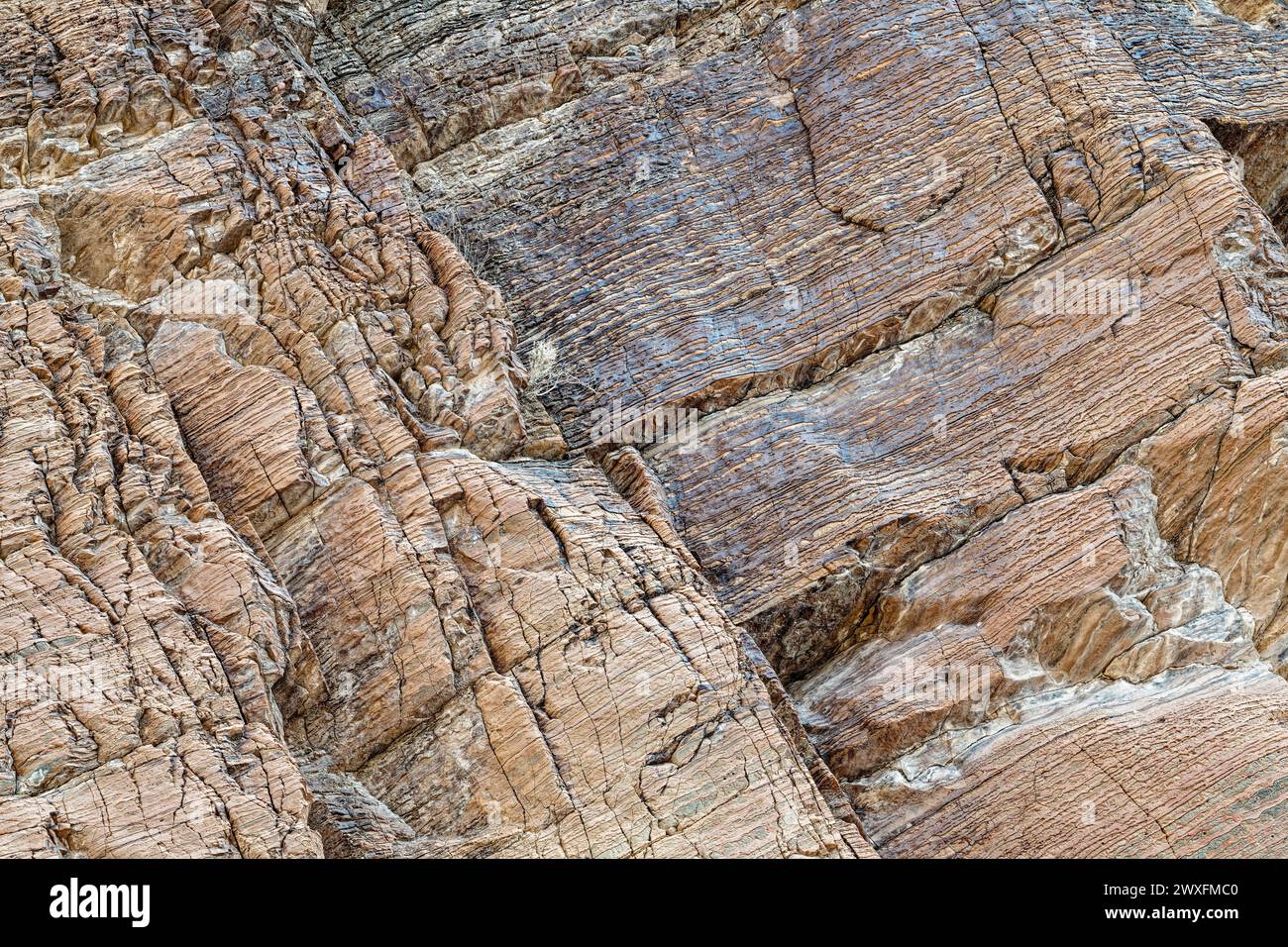 The linear patterns formed over time in the ancient rocks lining Titus ...