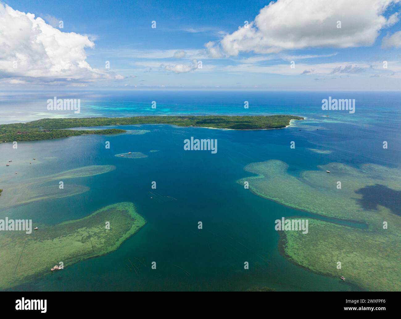 Philippines palawan mangroves forest hi-res stock photography and ...