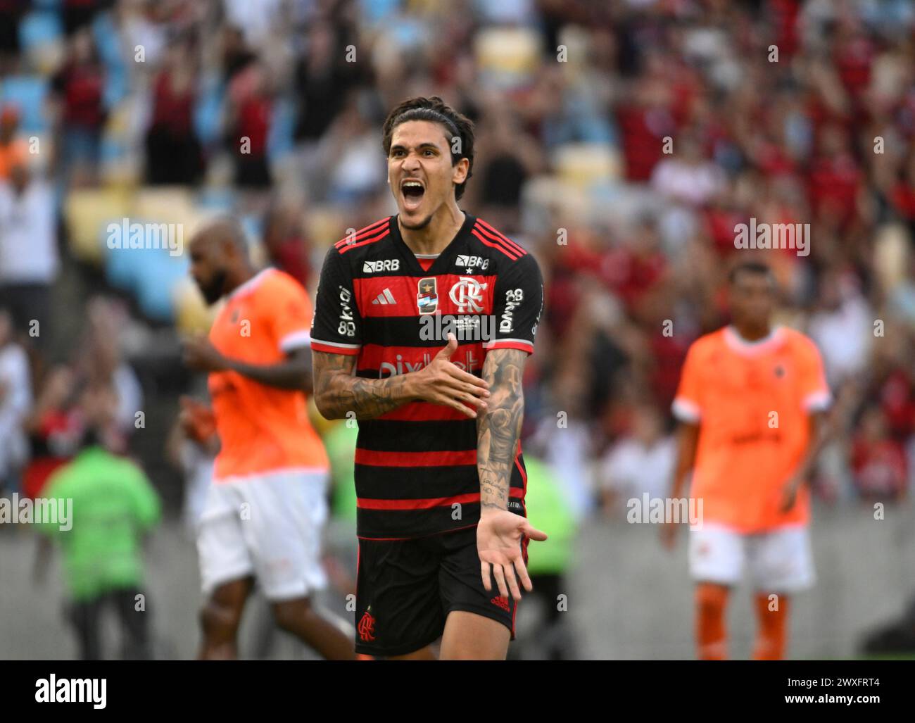 Rio de Janeiro, Brazil, March 30th 2024: Pedro of Flamengo celebrates ...