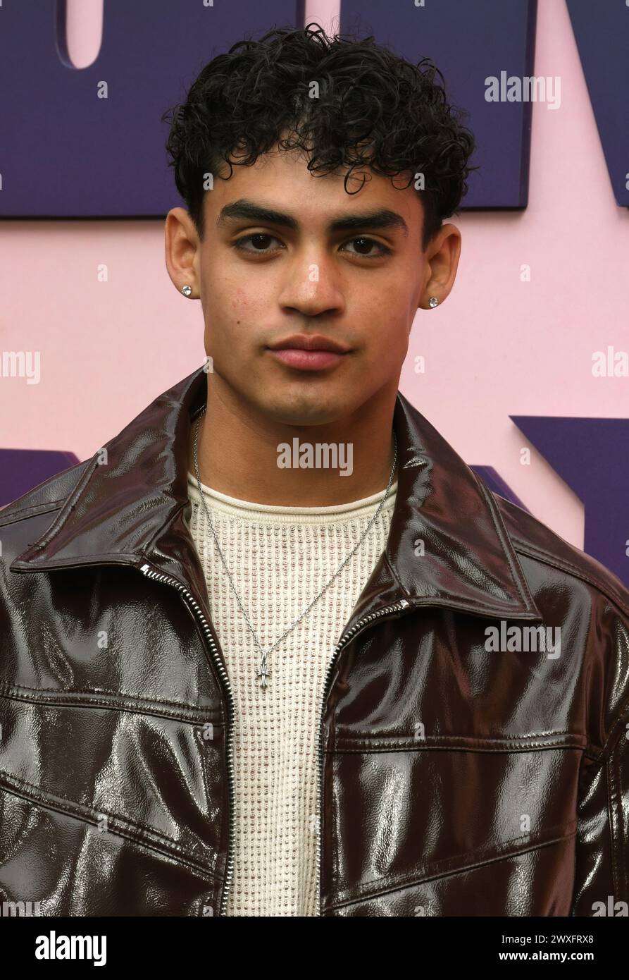 Hollywood, California, USA 25th March 2024 Alejandro Rosario attends ...