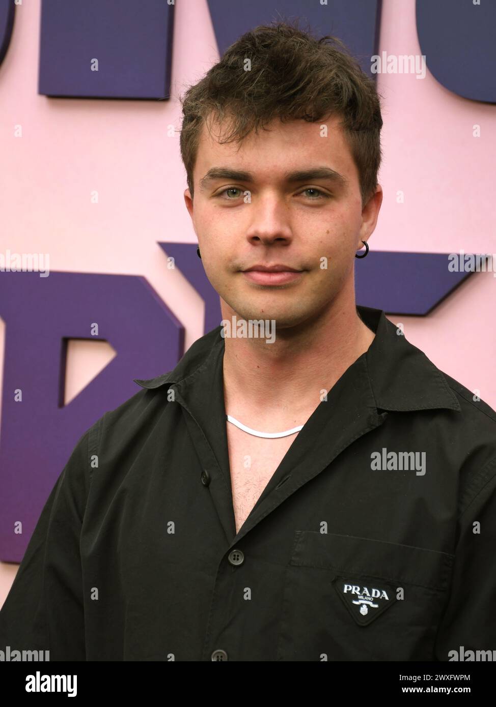 Hollywood, California, USA 25th March 2024 Austin Sprinz attends Warner ...