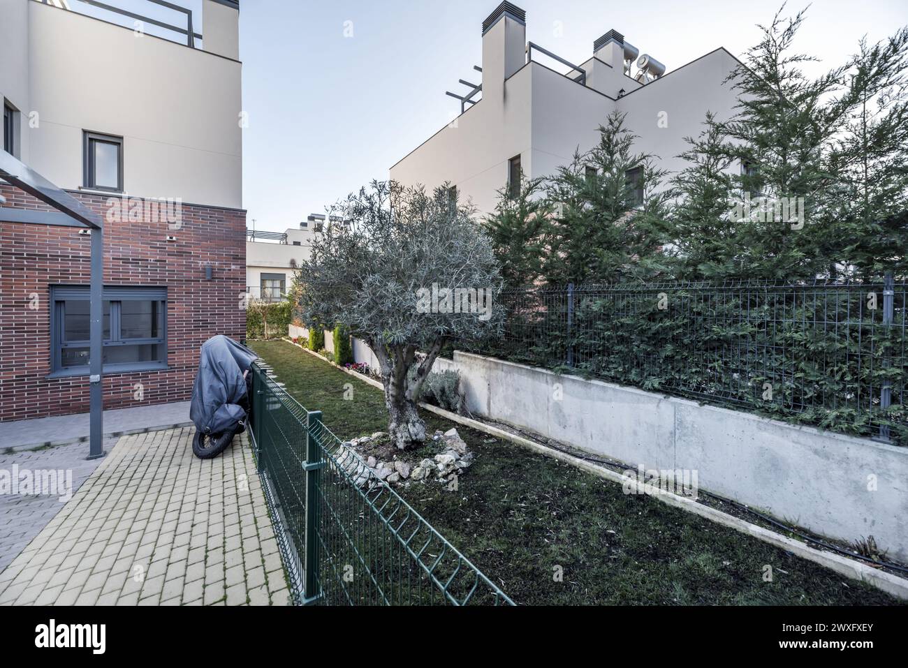 Garden of a multi-story single-family house with slate paths attached ...