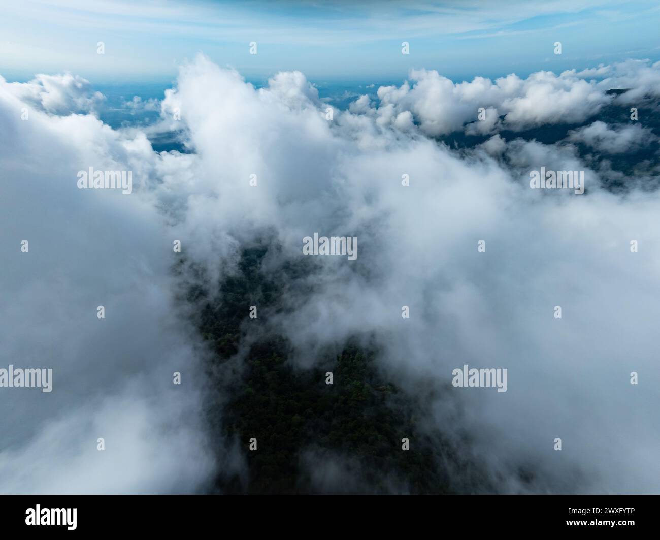 Aerial shot fog over forest hi-res stock photography and images - Alamy