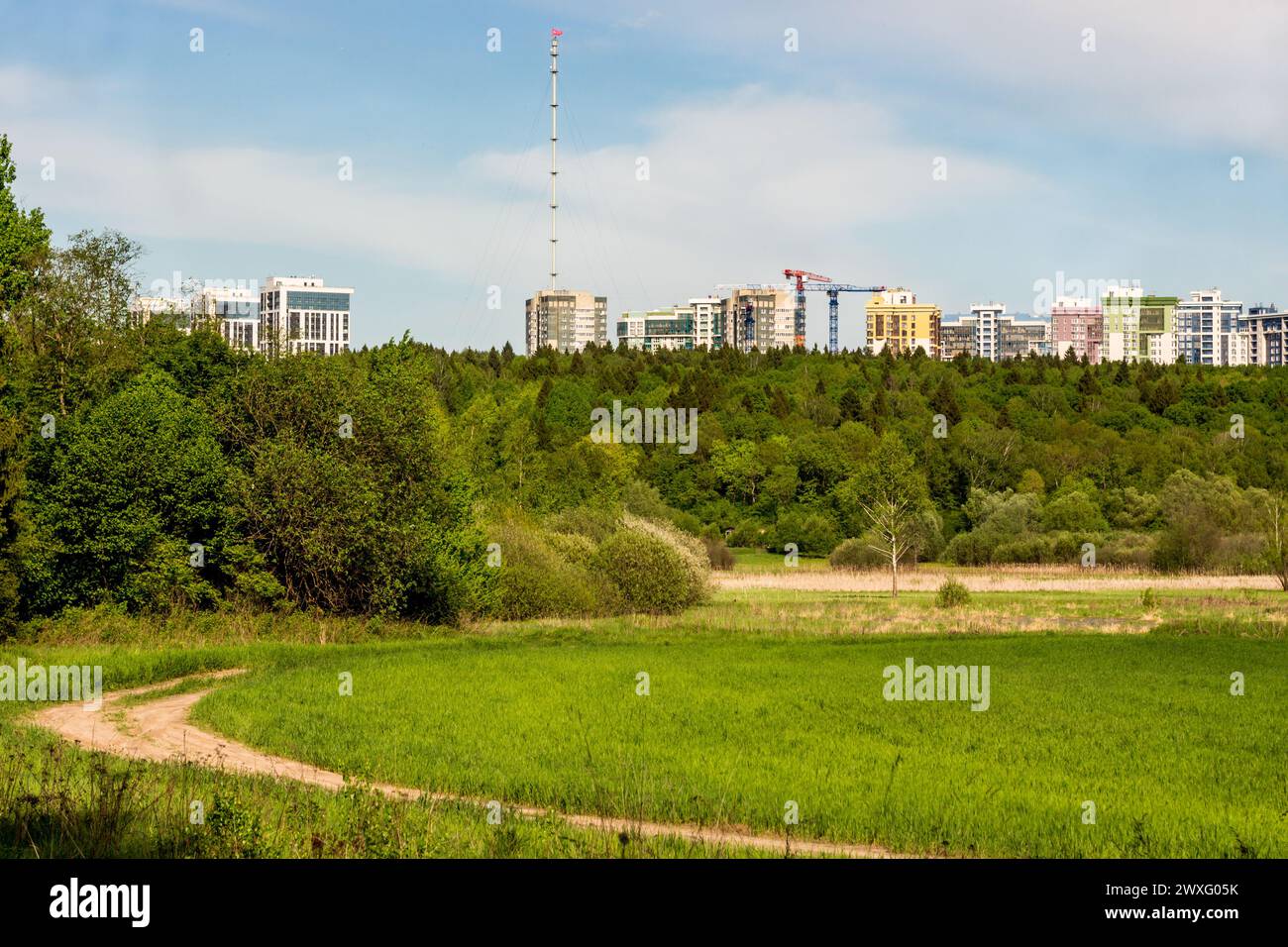 View of the modern urban development from a distance from the forest ...