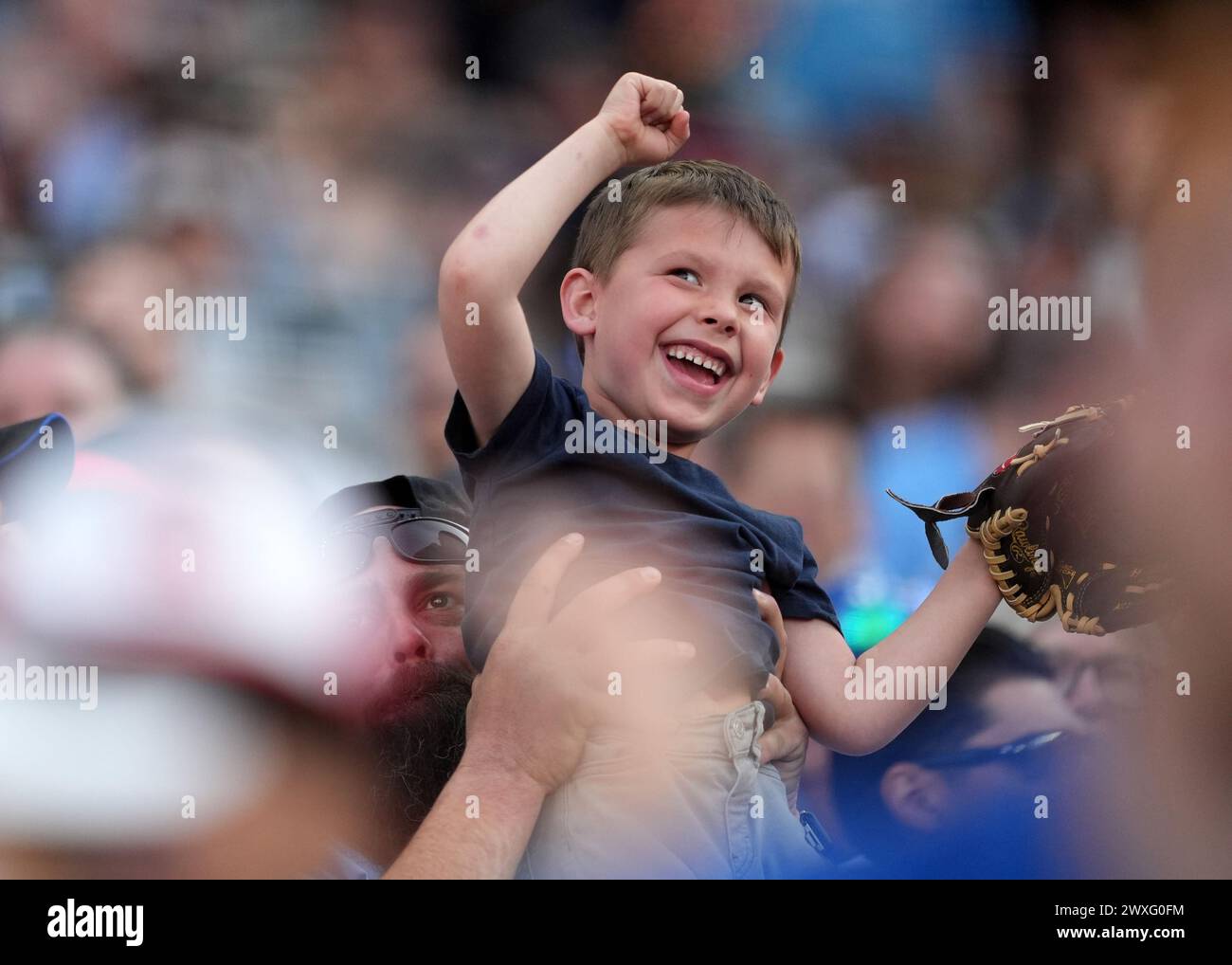 MAR 30, 2024: Young fan enjoys spring baseball at Kauffman Stadium ...