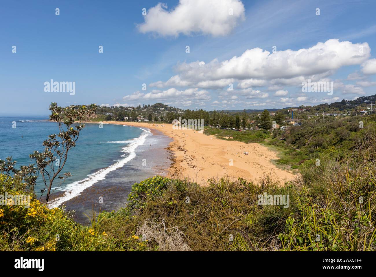Sydney northern beaches region, view of Newport Beach in Sydney from ...