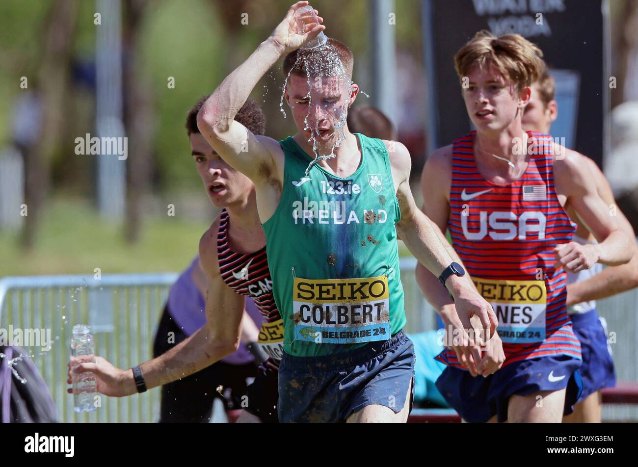 Cross country championships hi-res stock photography and images - Alamy