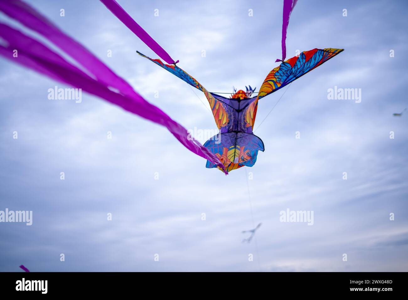 Washington, District Of Columbia, USA. 30th Mar, 2024. Colorful kites ...