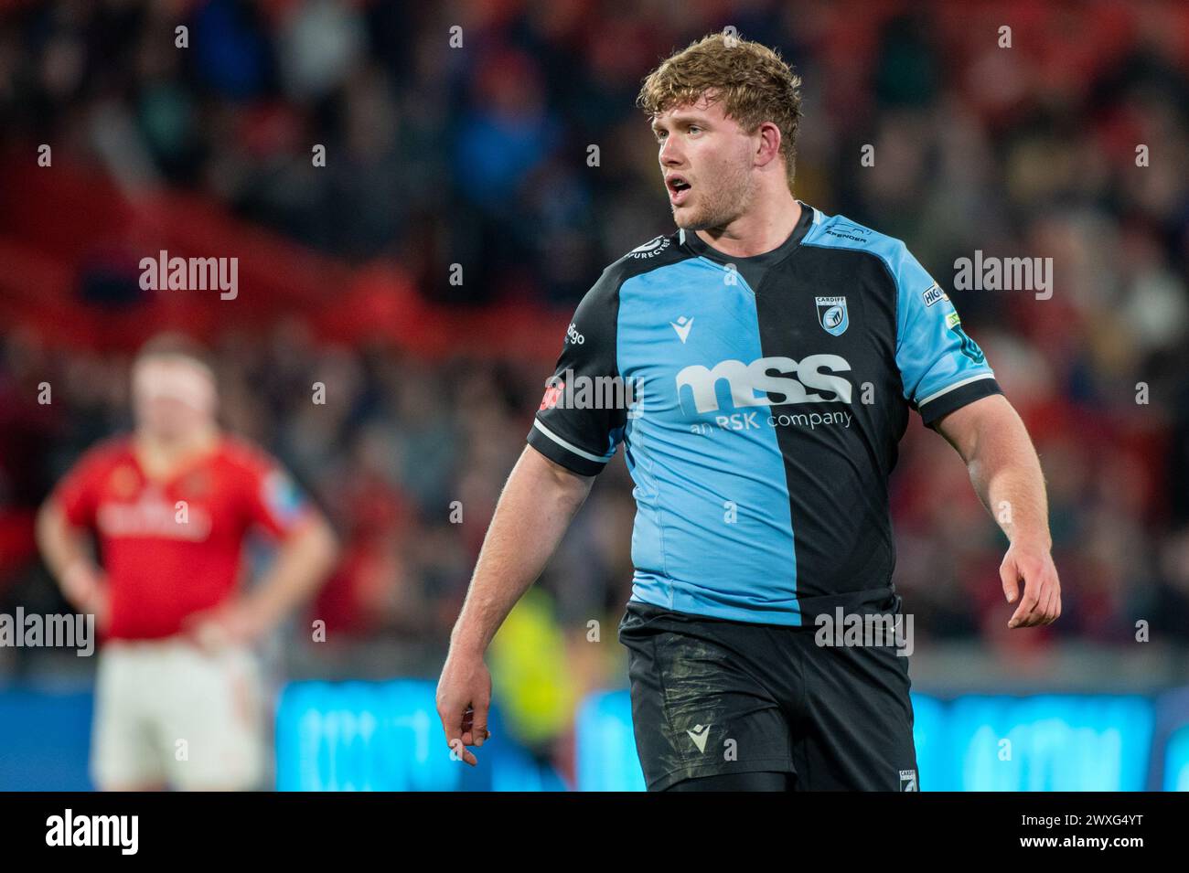 King irish league hi-res stock photography and images - Alamy