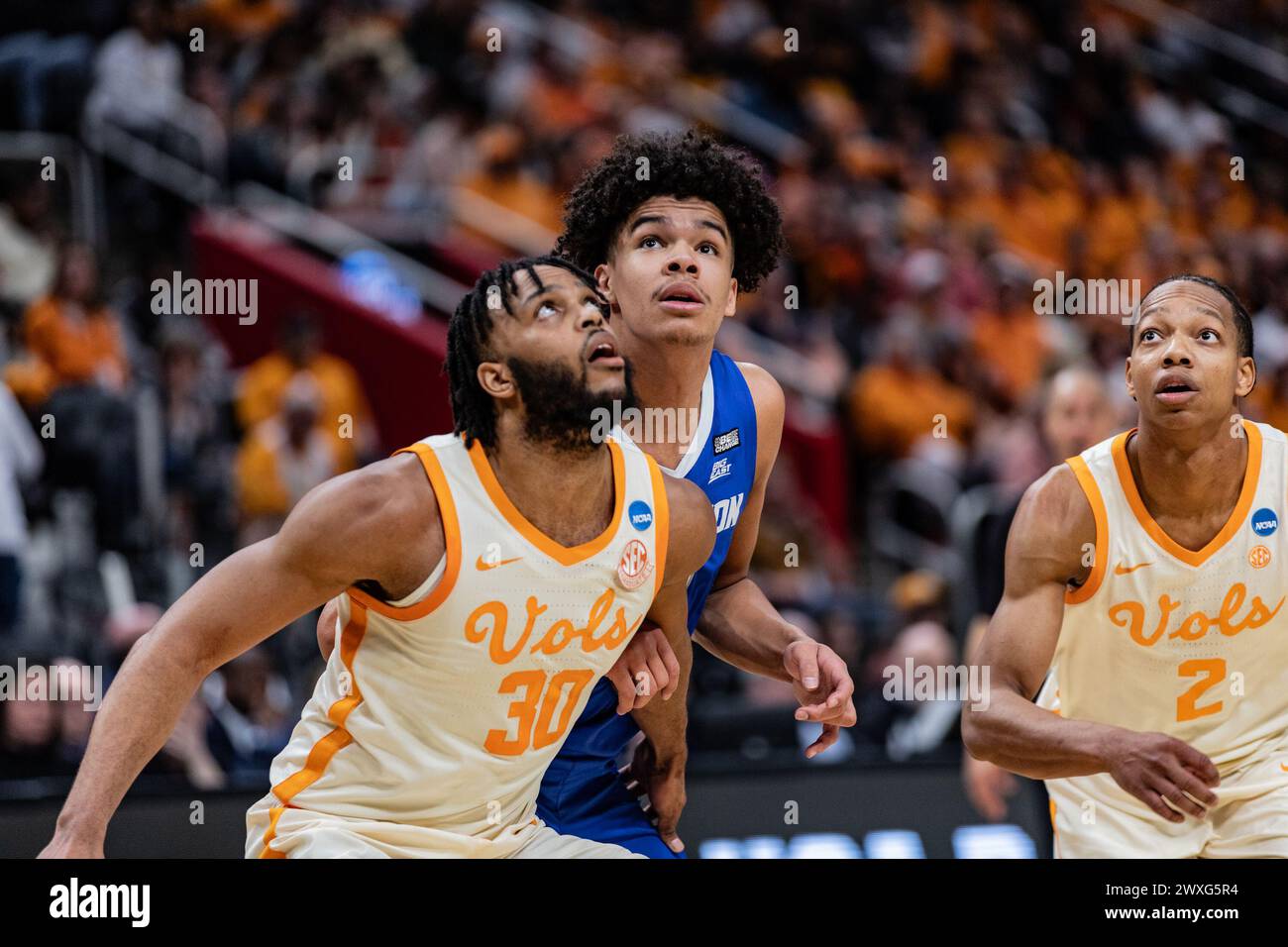 Jasen green hi-res stock photography and images - Alamy