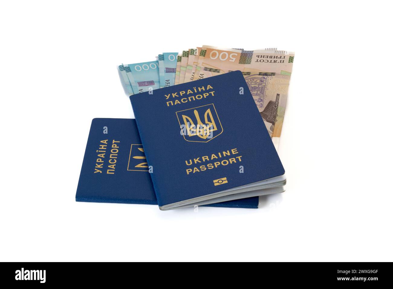 Ukrainian international biometric passport with cash Stock Photo - Alamy