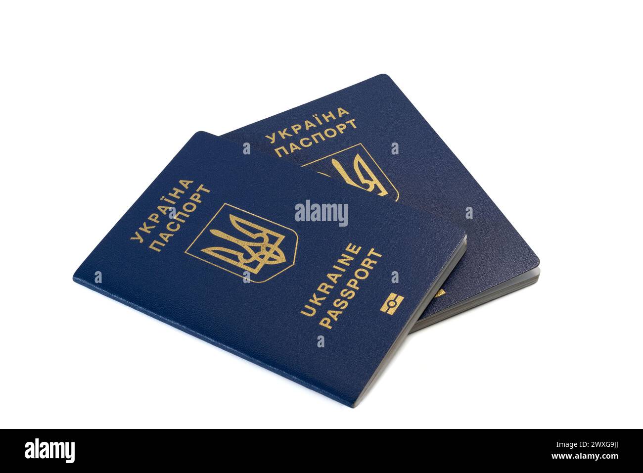 Ukrainian international biometric passport two Stock Photo - Alamy