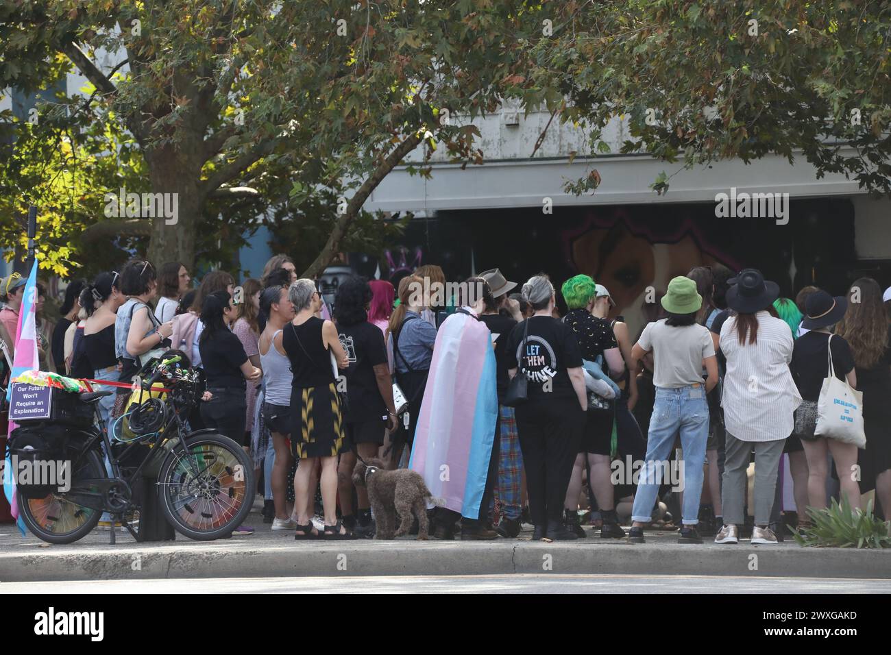 Sydney, Australia. 31st March 2024. Trans Day of Visibility Rally 2024 ...