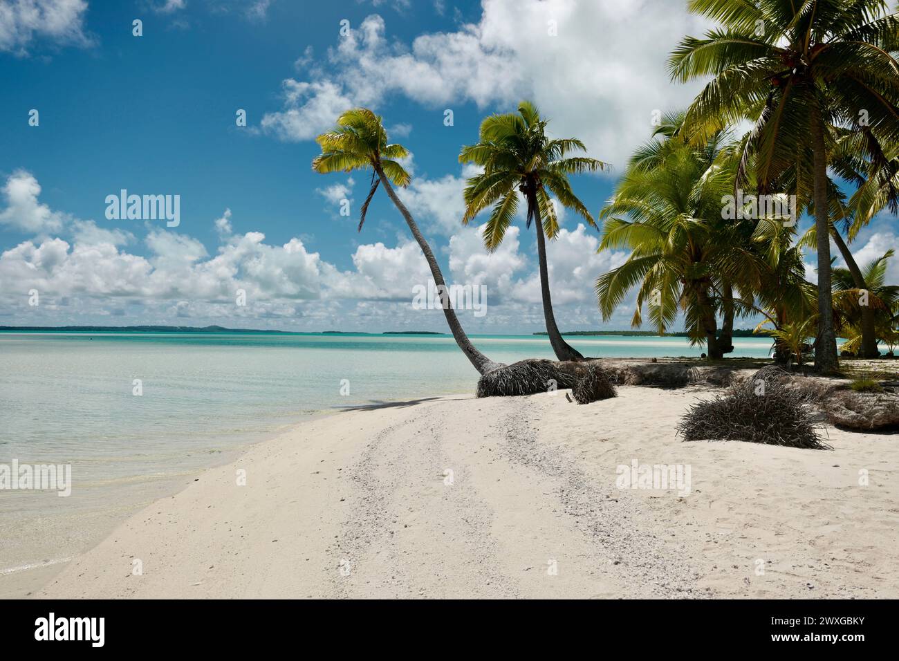 Tropical beach aitutaki atoll hi-res stock photography and images - Alamy