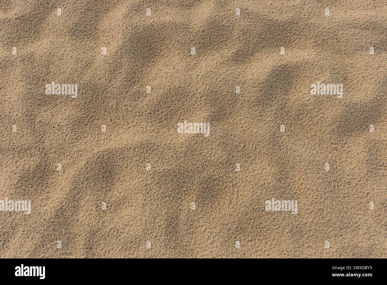 Color Warm Beach Sand Abstract Pattern After Rain Surface Texture ...