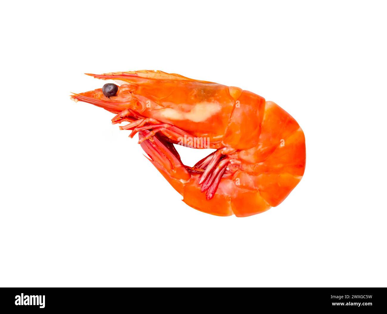 Top view of red cooked prawn is isolated on white background with ...