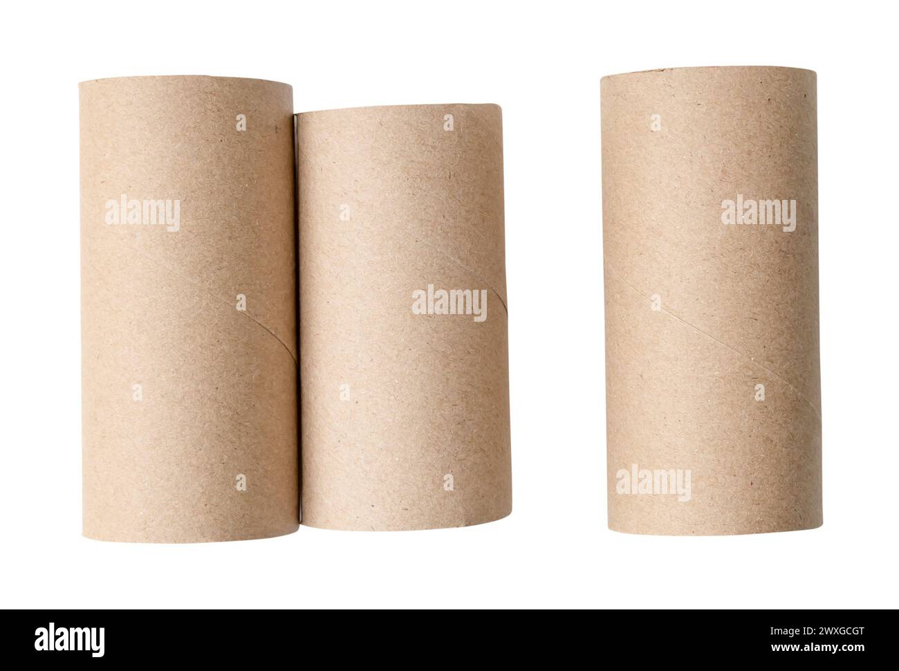 Front view set of tissue paper cores is isolated on white background ...