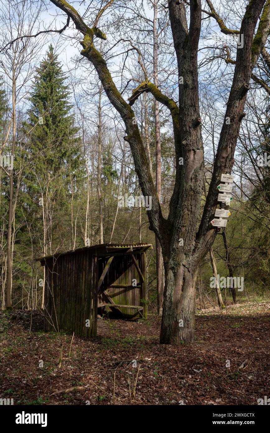 Tourist trail junction "Pilský rybník - jih" with a wooden shelter and ...