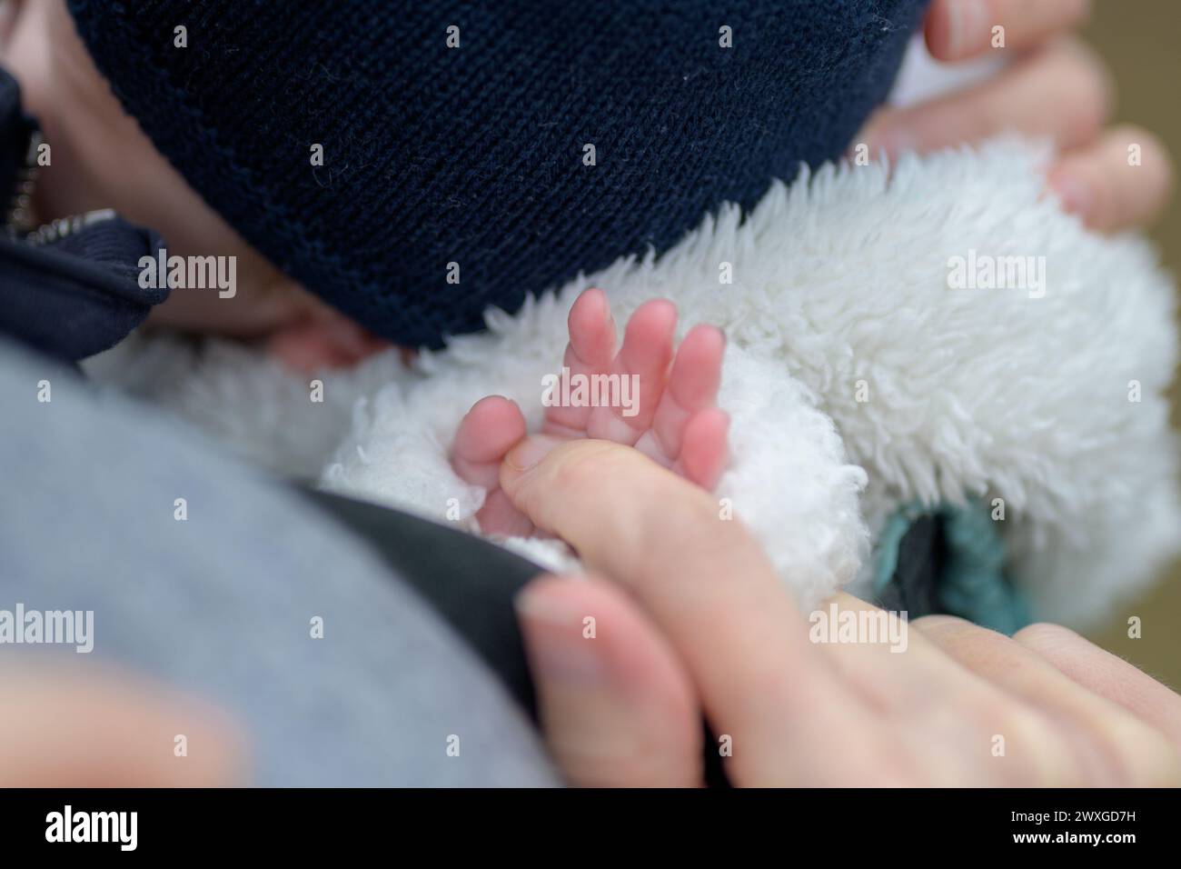 Close up of the hand of little baby holding mothers hand with his ...