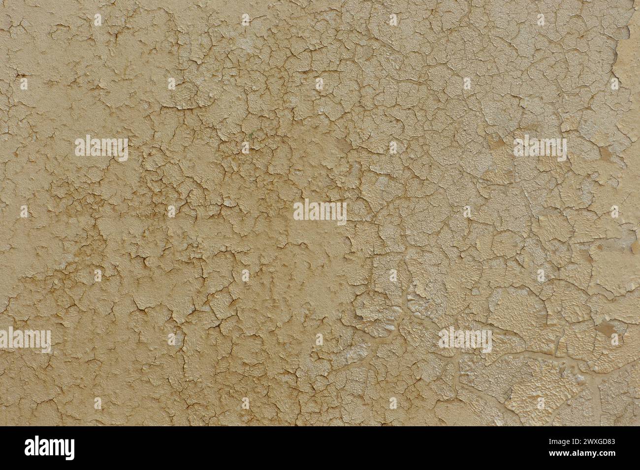 Plaster wall yellow mustard hi-res stock photography and images - Alamy