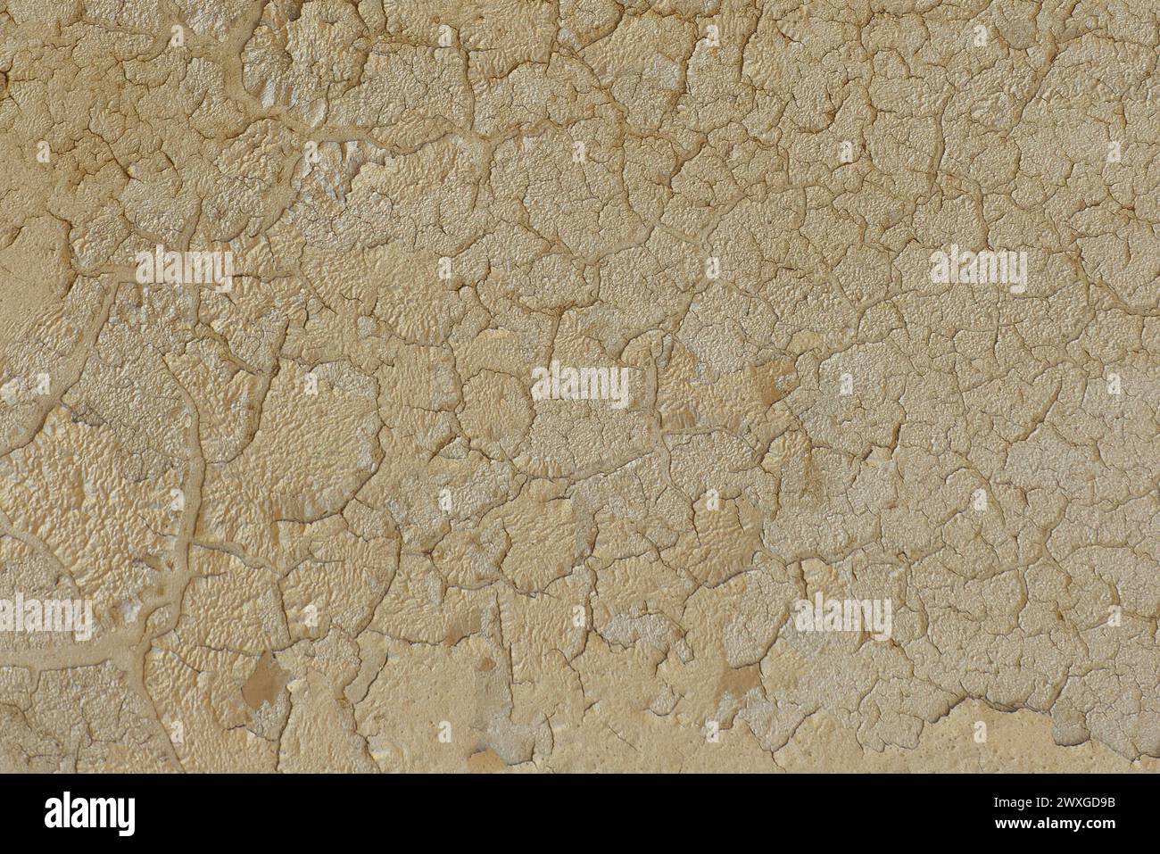 Old Retro Dirty Color Vintage Peeling Paint Plaster Cracked Cement Wall ...