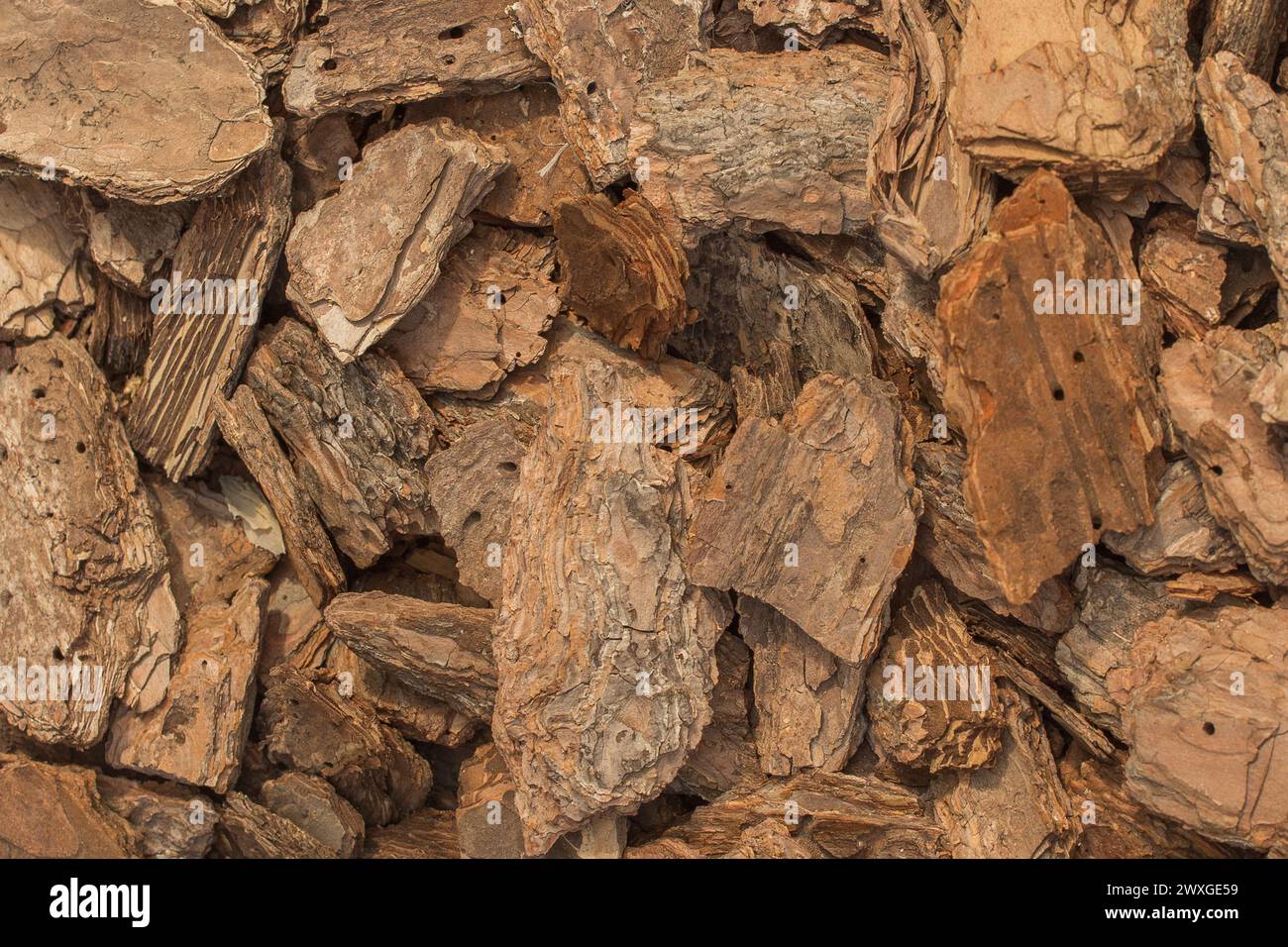 Small pieces of brown tree bark natural background texture decorative ...