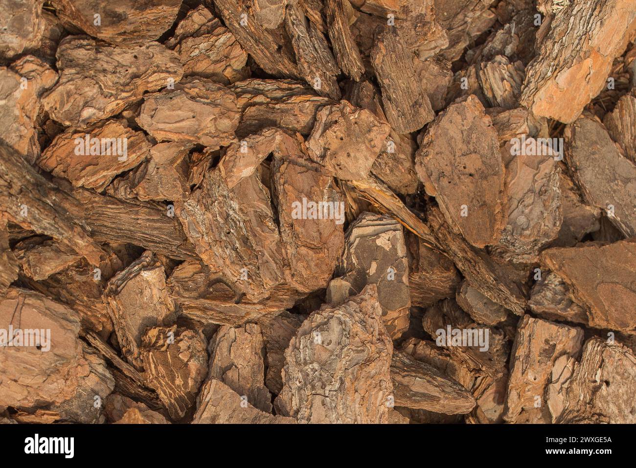 Small decorative pieces of dry tree bark brown color natural background ...
