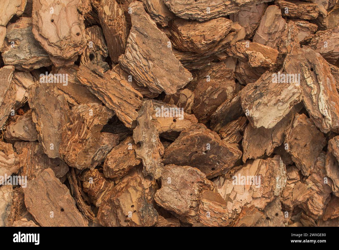 Small pieces of brown tree bark natural background texture decorative ...