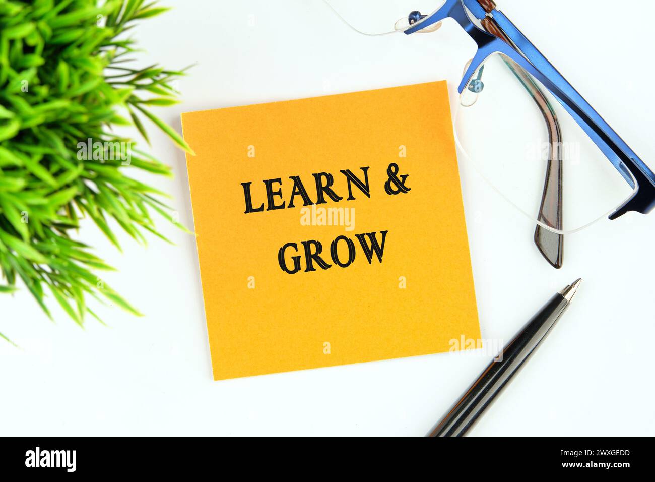 Learn and Grow written on an orange sticker on a white background Stock ...