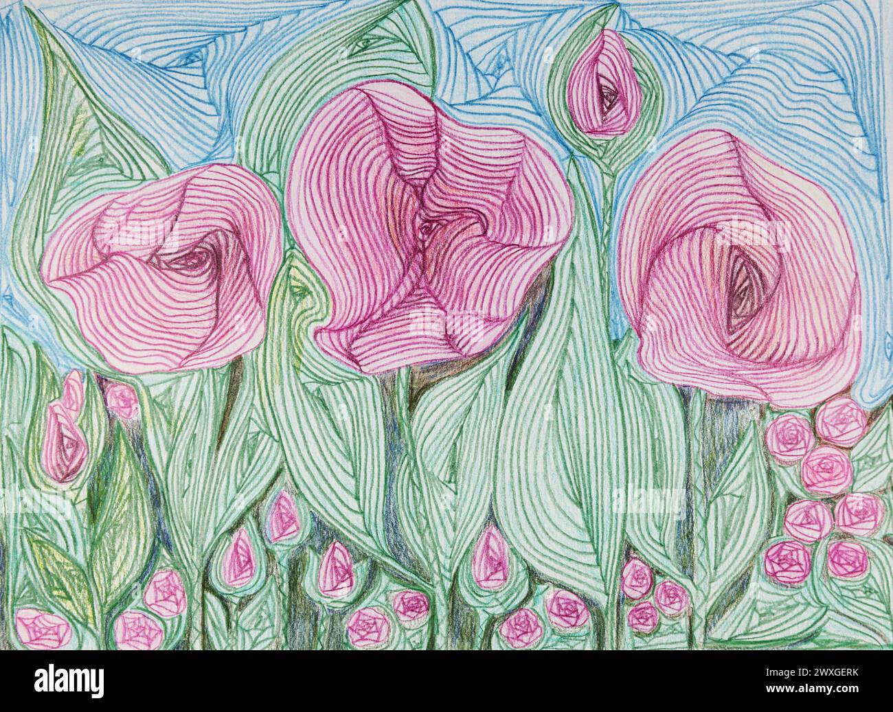 Abstract pencil drawing of roses with lines. The dabbing technique near ...