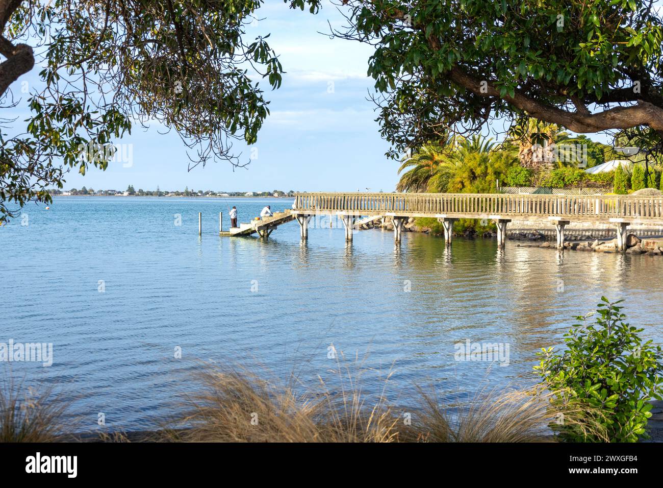 Wooden pier on Avon Heathcote Estuary, Redcliffs, Christchurch ...